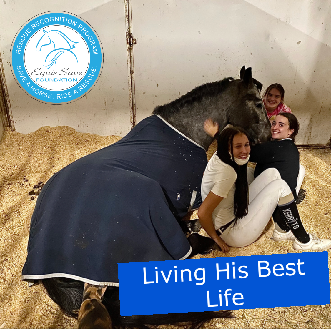 Equestrian Accessibility Lease "EquAL" Program · Equis Save Foundation